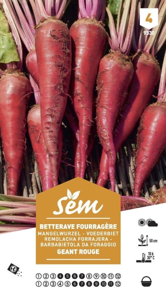 Graines de Betterave Fourragère XXL