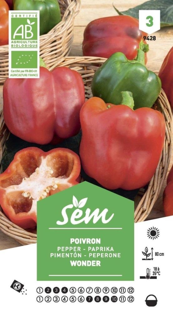 Graines de Poivron Wonder BIO